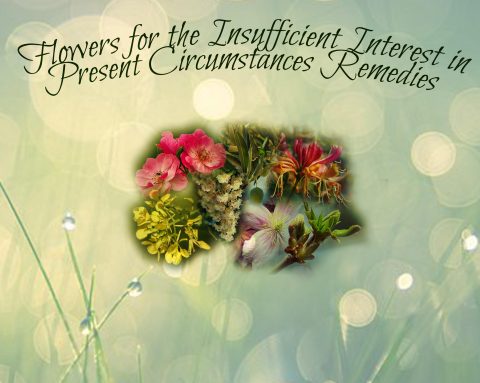 Remedies for Insufficient Interest in Present Circumstances | Andrea ...